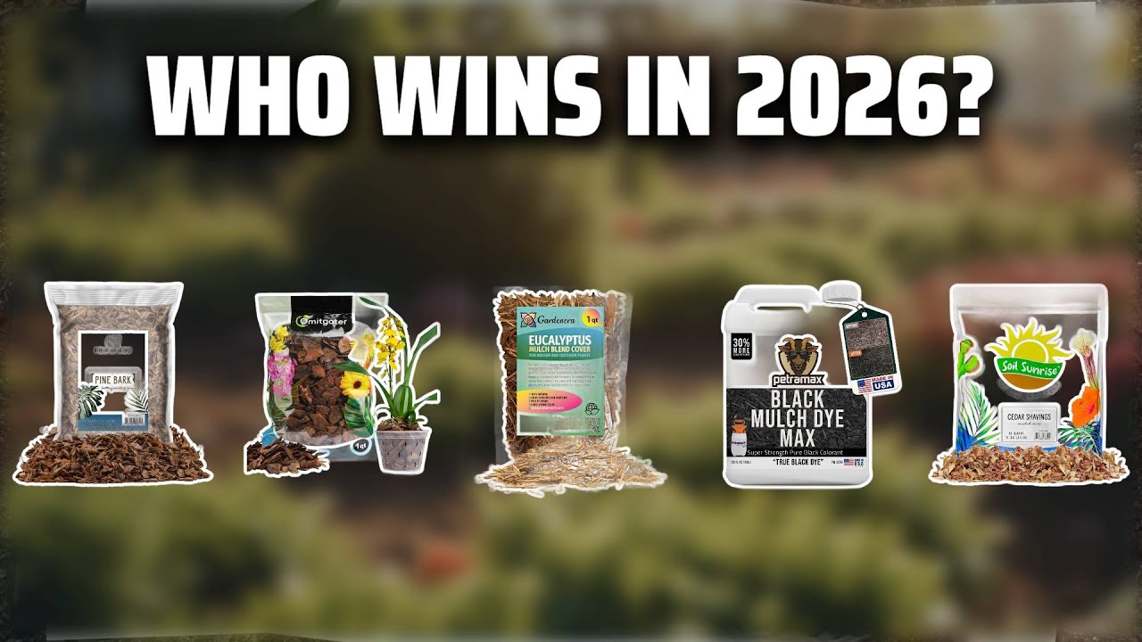 The Top 5 Best Pine Mulch in 2026 - Must Watch Before Buying!