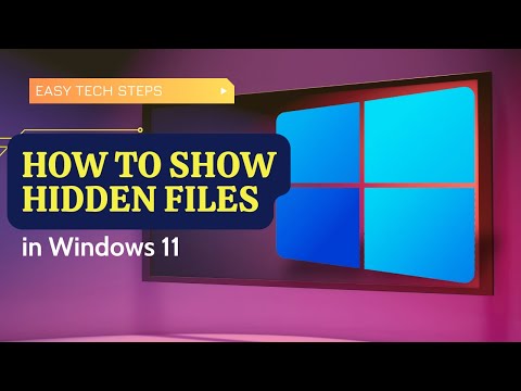 How to Show Hidden Files in Windows 11 | Step-by-Step Guide to Reveal Hidden Folders