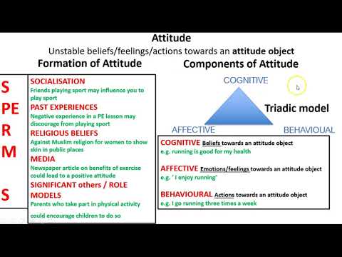 Attitudes revision