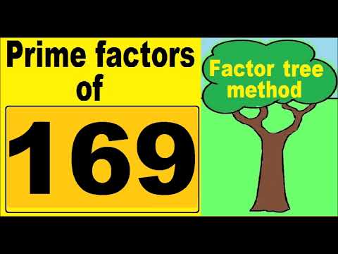 Prime factors of 169.