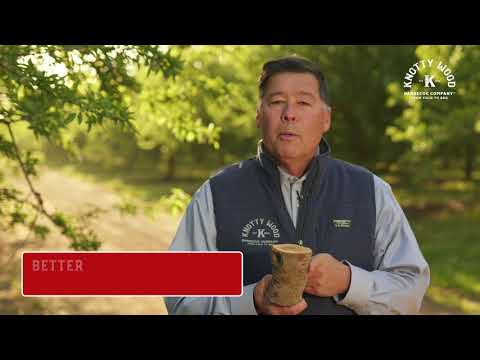 Knotty Wood Barbecue Company - Taste the Difference 90sec spot