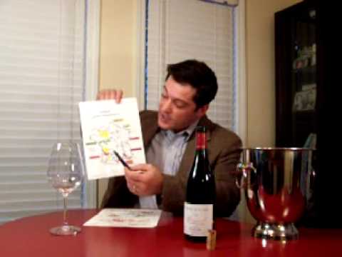 Cabernet Franc - Bourgueil tasting with Harry Constantinescu