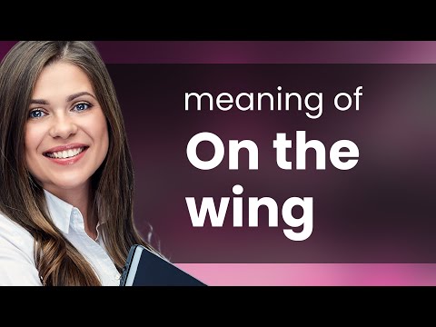 Understanding "On the Wing": A Guide for English Learners