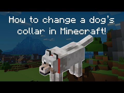 How to CHANGE THE COLOR OF YOUR DOG'S COLLAR IN ALL MINECRAFT EDITIONS