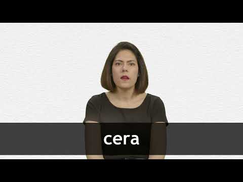 English Translation of “CERA” | Collins Spanish-English Dictionary