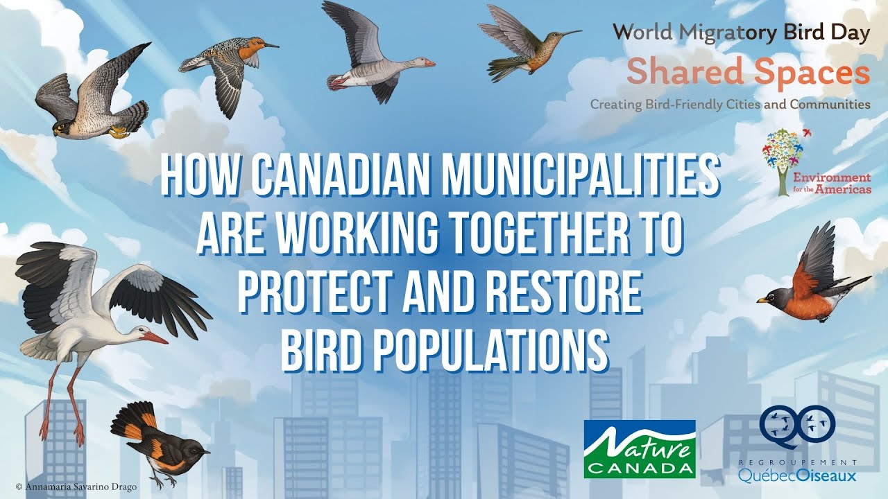 Webinar Replay - Celebrating Shared Spaces in Municipalities to Protect & Restore Bird Populations