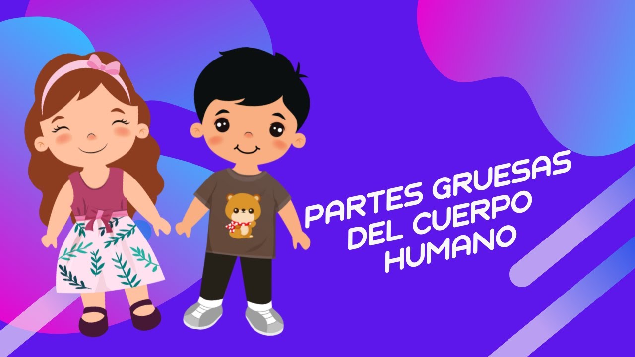 🧍Partes #gruesas del cuerpo humano | Canción 