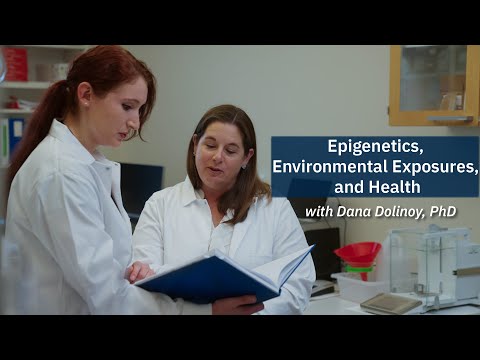 Dana Dolinoy, PhD Explains the Role of Epigenetics in Environmental Exposures and Health