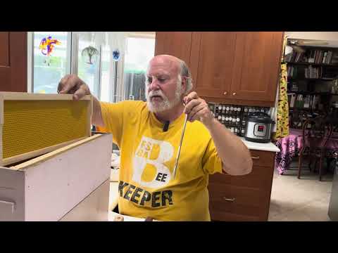 What makes the best hive tool? Beekeeping 