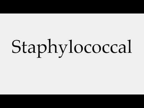 How to Pronounce Staphylococcal