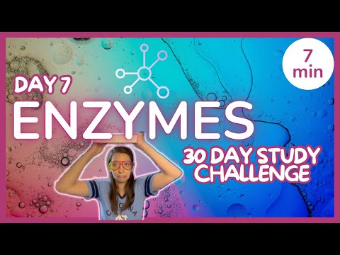 Day 7: Enzymes - 30 Day Biology Study Challenge 2024
