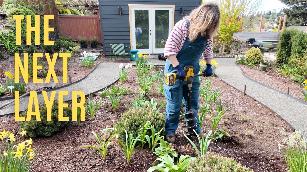 Designing a Modern Meadow: OG Grasses + Free Plants 🌱