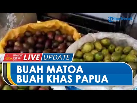 Keunikan Buah Matoa Asli Papua, Punya Rasa Berbeda-beda hingga Mengandung Antioksidan Tinggi