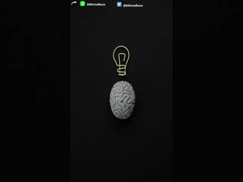 What is Gray Matter?