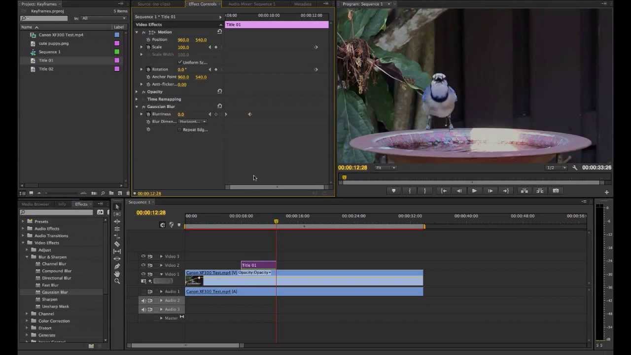 Keyframe Tutorial for Adobe Premiere Pro CS6