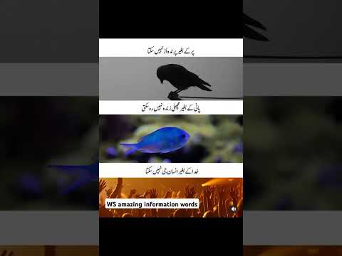 I like words and great information Vidal words and beautiful pictures#foryou#youtubeshorts#10mil