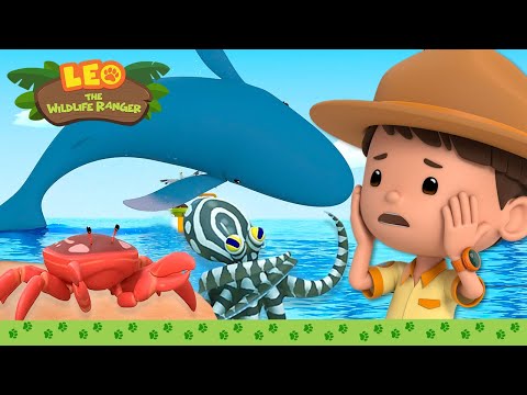 π³ Best SEA ANIMALS π¦ Piranhas, Whales, Mimic Octopus π¦ Leo the Wildlife Ranger | Kids Cartoons