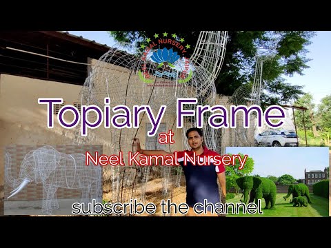 Topiary Frame for plants || Live wire topiary || Topiary garden look