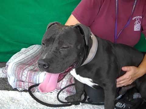 A4867392 Malcolm