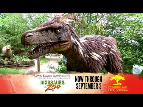 Dinosaurs at the Zoo 2018