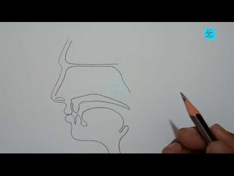 HOW TO DRAW NOSE INTERNAL STRUCTURE ||Nose internal parts #schoolproject #bodyparts