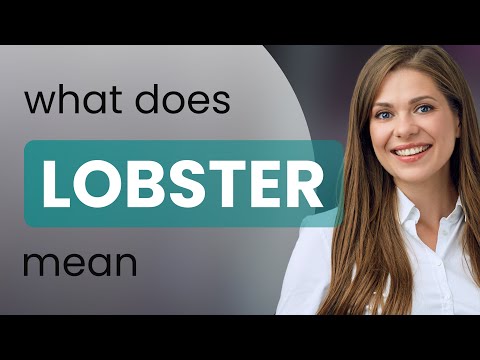 Lobster | LOBSTER definition