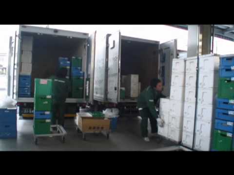 CO-OP Home Delivery Service
