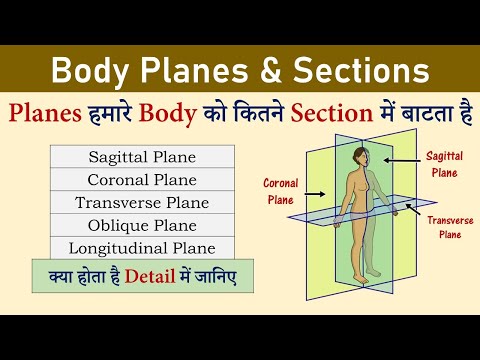 Body Planes and Sections | Sagittal, Coronal, Transverse Plane | Anatomical Planes