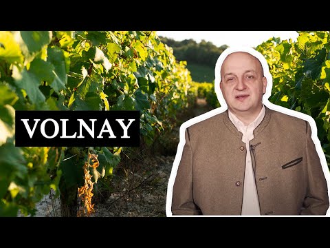 La Minute Chanzy #38 - VOLNAY