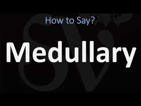 How to Pronounce Medullary? (CORRECTLY)
