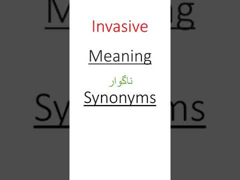 Vocabulary | Dictionary | Synonyms | Autumn | English to Urdu Meaning | Dawn | Success with Farid