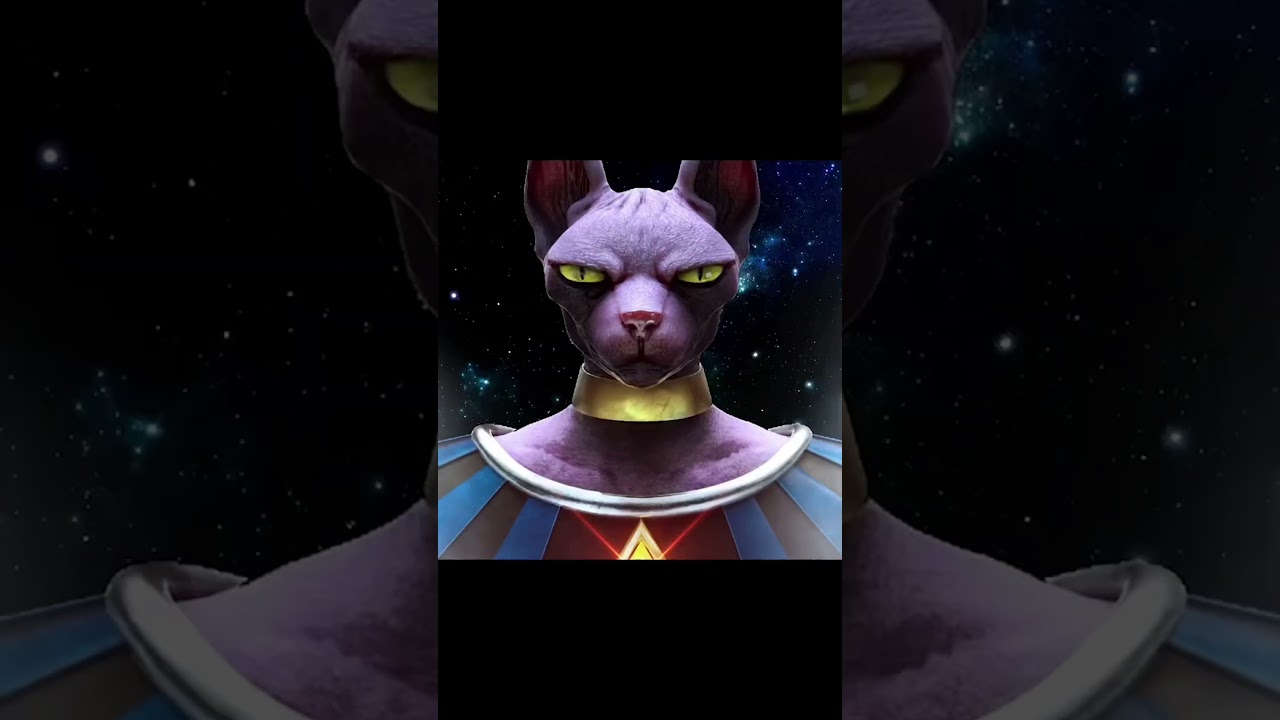 Whis and Beerus #memes