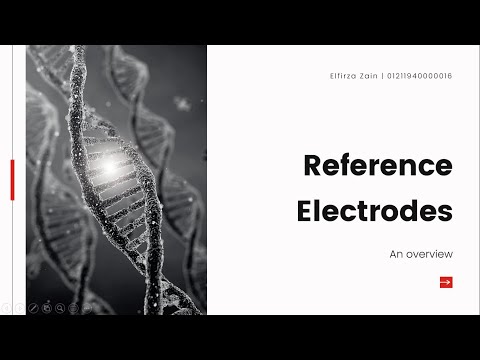 References Electrodes (Elektroda Pembanding)