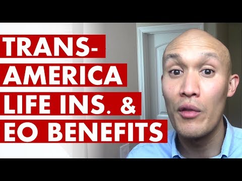 Transamerica Life Insurance: The Link Between Essential Oils And Your Finances