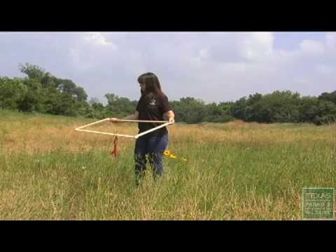 Field Survey: How to Use a Daubenmire Frame