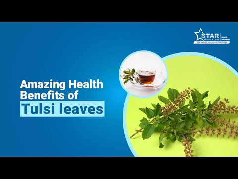 Star Health Insurance | 10 Health Benefits of Tulsi Leaves | English
