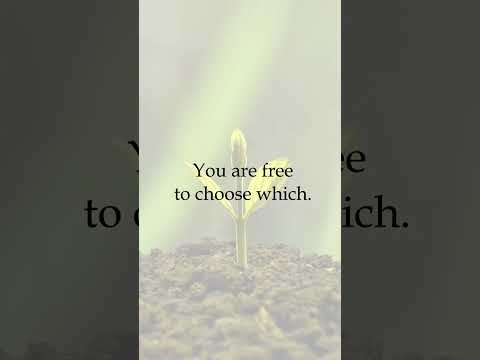 Your thoughts supply you with limitless energy - 432hz Manifestation, Law of Attraction