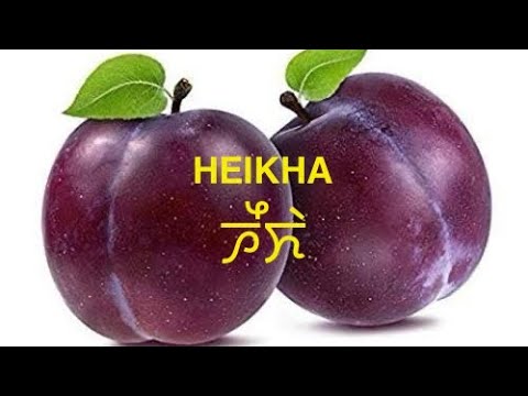 ꯍꯩꯈꯥ - HEIKHA (Prunus domestica) nutritional & medicinal properties in Manipuri