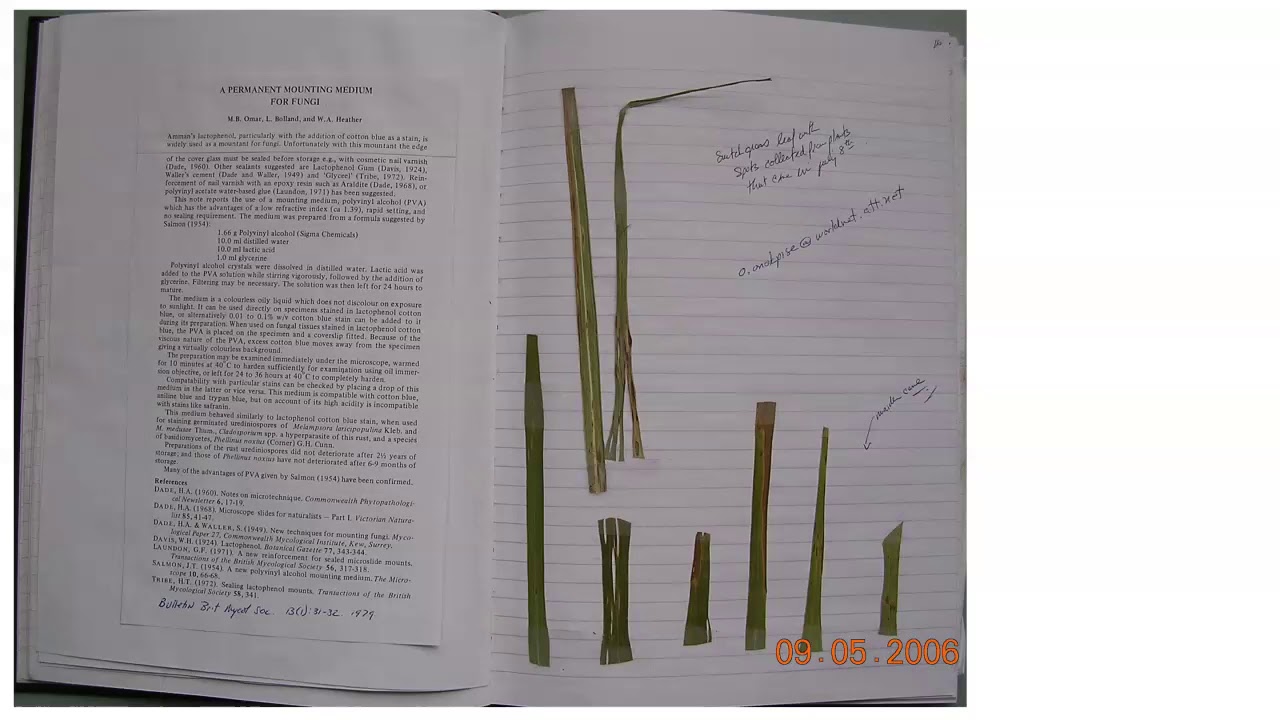 How to document research