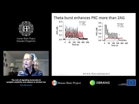 Blackwell Kim - The role of signaling molecules in synaptic plasticity and relapse to alcohol use