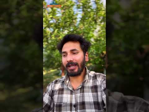 40•C temperature in Manali . My reply to @faiz_tour_vlogs . #crazyforhimachal #manali