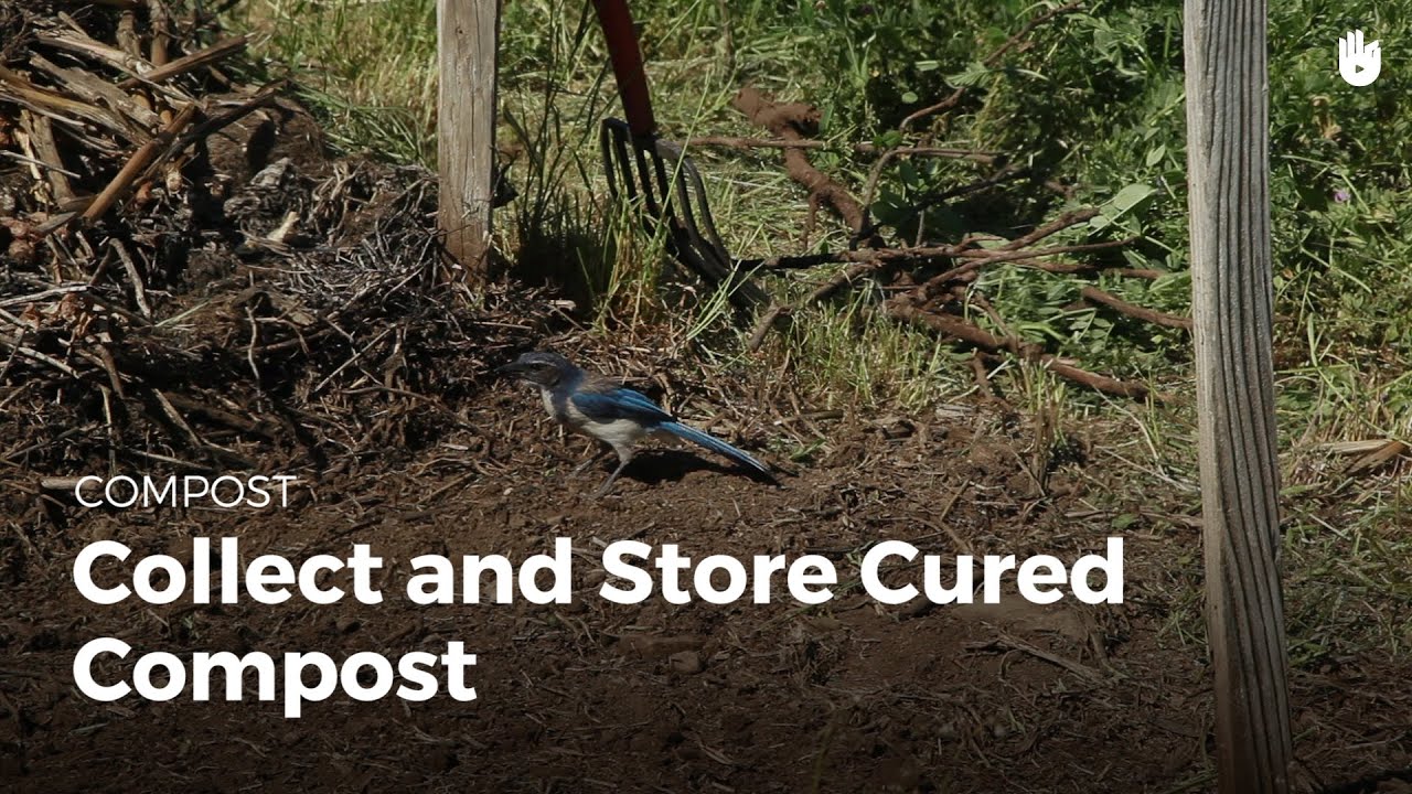 Collect & store cured compost - Making Compost | Sikana