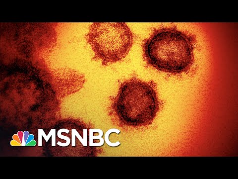 NYT: California How Has Over 500,000 Confirmed COVID-19 Cases | The 11th Hour | MSNBC