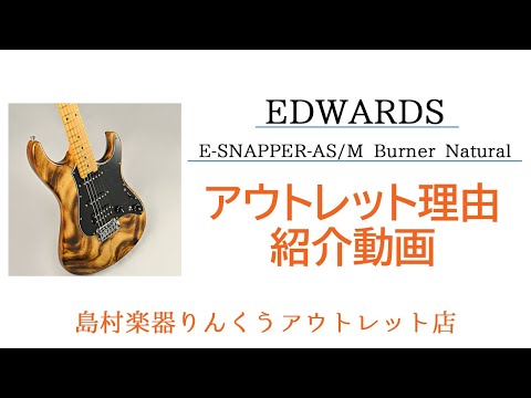 【販売済み】EDWARDS E-SNAPPER-AS/M Burner Natural紹介動画