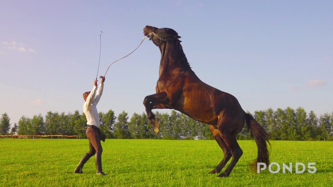 Slow Motion Stock Footage Reel- HD, 4K Royalty-free