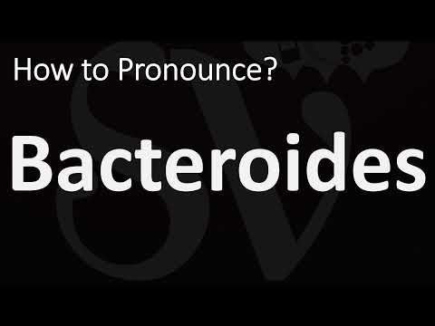 How to Pronounce Bacteroides? (CORRECTLY)