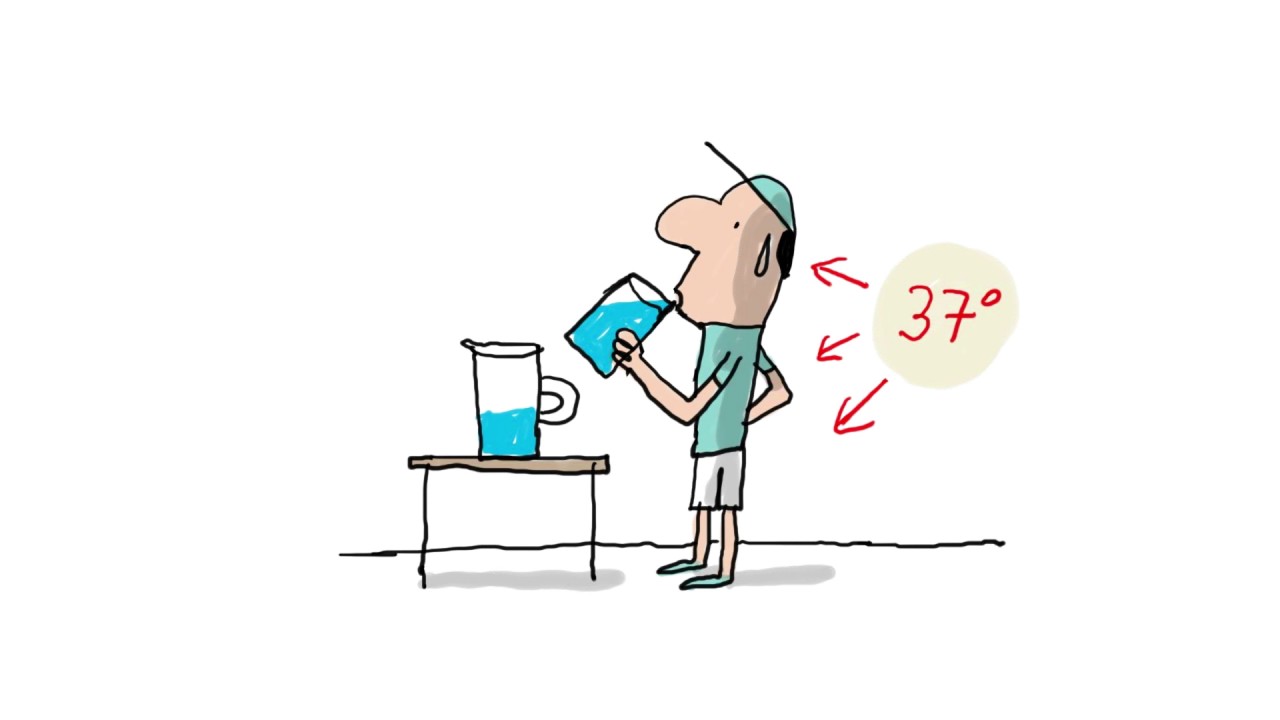 C'est quoi la canicule ? - 1 jour, 1 question