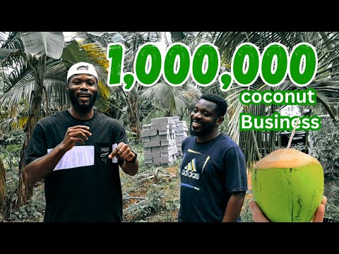 How He Started a 1,000,000 Coconut Business