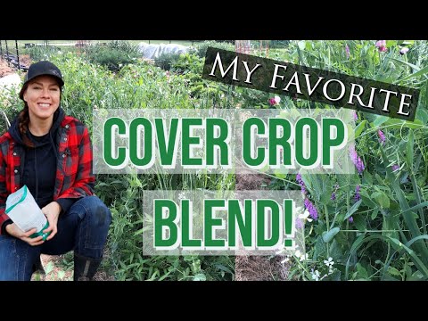 The Best Cool Season Cover Crop Blend!