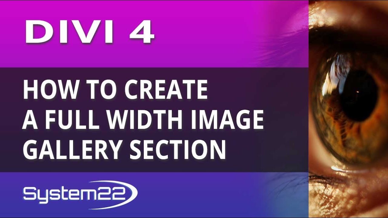 Divi 4 How To Create A Full Width Gallery Section